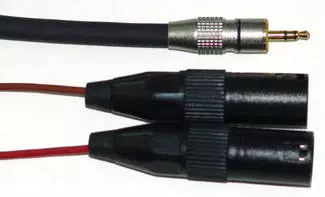 Yorkville Sound 10 Foot Mini To 2X XLR Male Insert Cable | Long & McQuade